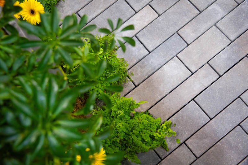 BARKMAN - BOARDWALK PAVER – Bricks n Blocks