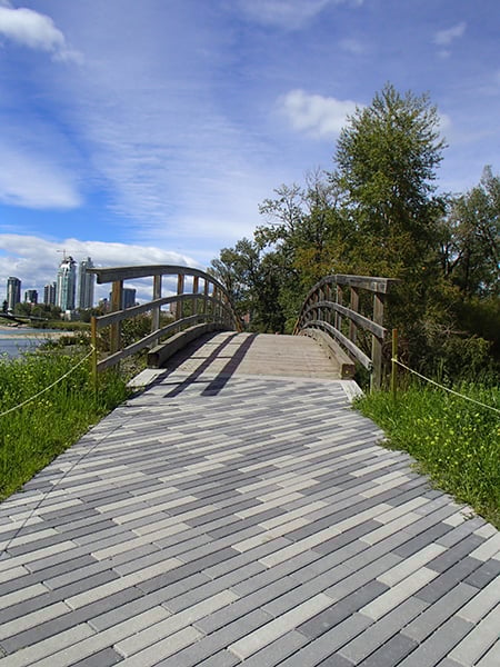 BARKMAN - BROADWAY PLANKS 100mm PAVER – Bricks n Blocks